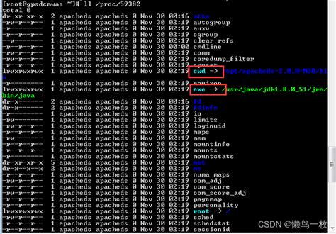 Linux 服务器进程、端口查找，nginx 配置日志查找，lsof 命令详解linux查看nginx端口 Csdn博客