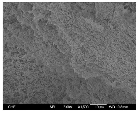 Constrained Geometry Organotitanium Catalysts Supported On Nanosized