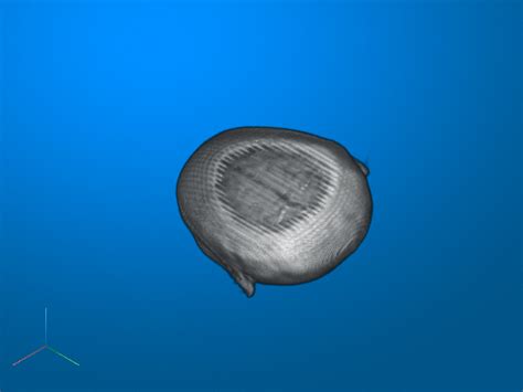 Imwarp Apply Geometric Transformation To Image Matlab