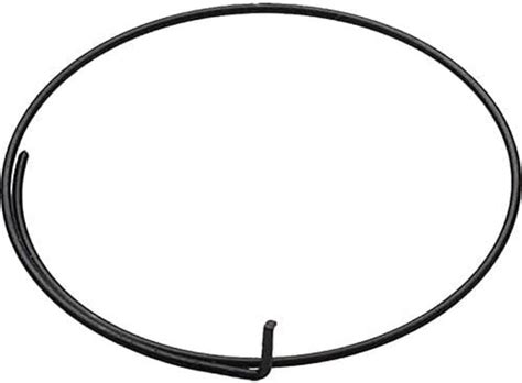 Campagnolo Unisex Wrap Around Freehub Pawl Springs Silver 5 Pieces