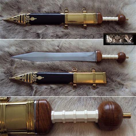 Windlass Gladius Review At Eden Goldfinch Blog