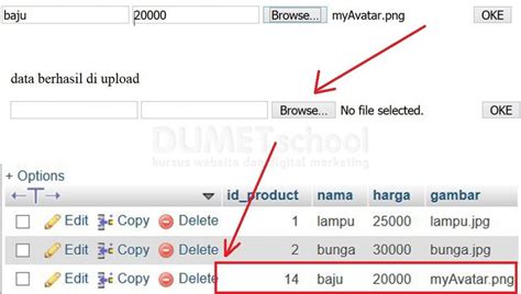 Cara Upload Gambar Menggunakan Codeigniter Dan Mysql Part Kursus Web Programming