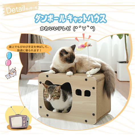 【楽天市場】【10off★スーパーsale】爪とぎハウス 爪研ぎ 猫 ダンボールハウス 組み立て式 高強度 高密度 木製 紙箱 キャット