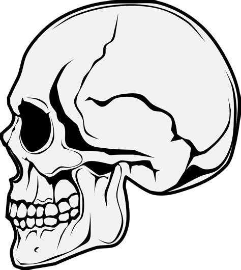 Download Skull Side View Skull Horror Royalty Free Vector Graphic