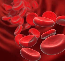 Anemia Leczenie Przyczyny Objawy IMC Centrum Zdrowia
