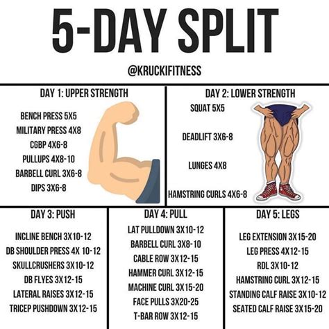 Push Pull Legs Vs 5 Day Split