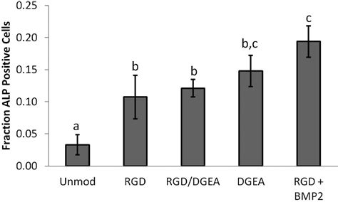 Figure 4 From The Collagen I Mimetic Peptide DGEA Enhances An