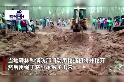 印度：一头小象掉进45米废弃深井，当地动用挖掘机将其救出