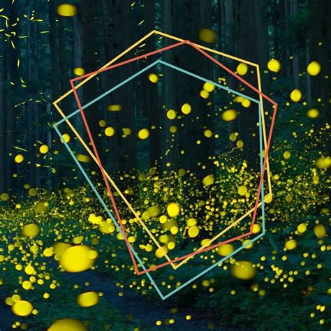 Festival International Du Film De La Roche Sur Yon 2024 Dates Et Programme