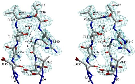 Electron Density Map Quality And The Rgd Loop Structure Download