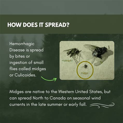 Lower Similkameen Indian Band