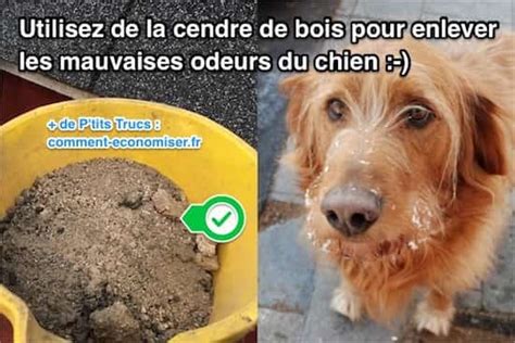13 Utilisations Étonnantes de la Cendre de Bois Pour la Maison et le