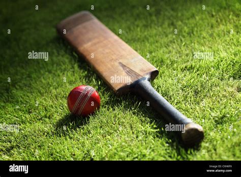 Cricket Bat And Ball Photos At Darcy Poninski Blog