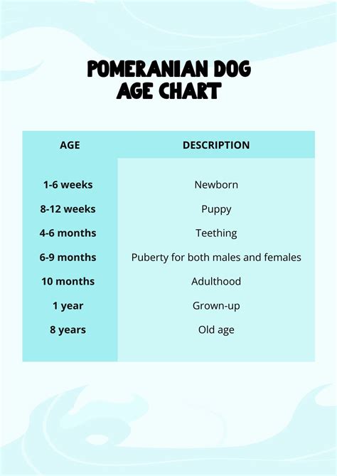 Pomeranian Puppy Food Chart Atelier Yuwa Ciao Jp