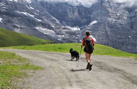 Crazy Sexy Fun Traveler Adventure And Spa Travel Blog