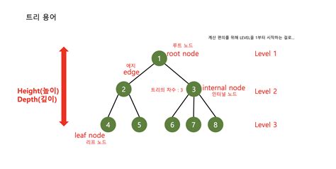 자료구조 06 선형구조 비선형구조 대구 올빼미의 새벽 개발로그