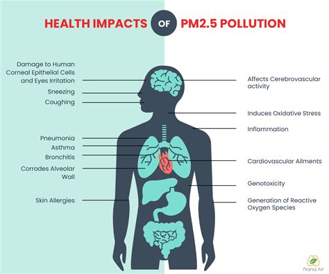What Is Pm2 5 Particulate Matter Sources And Impacts