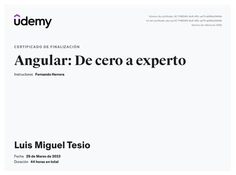 Luis Tesio En Linkedin Frontend Angular Udemy Angularcli