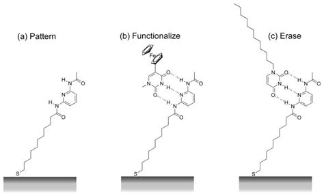 Functionalization And Erasing At The Surface Of Self Assembled Download Scientific Diagram