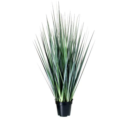 Potted Pvc Agave Grass 36 By Valerie