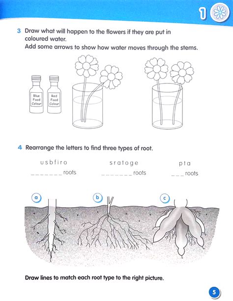 Macmillan Science 3 Workbook Fahasacom