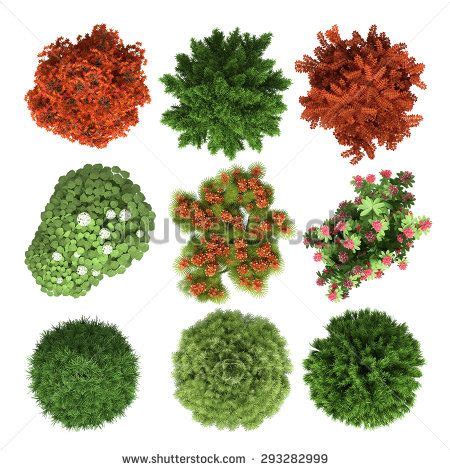 Stock Images Similar To ID 138593246 Trees Top View For Landscape Trees Top View Tree