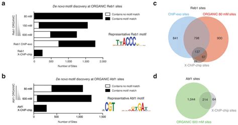 ORGANIC TF Binding Sites Have Characteristic Binding Site Motifs A B