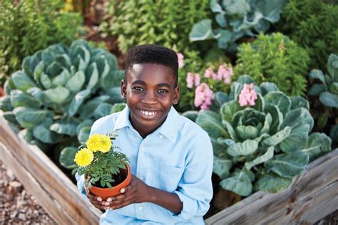 Small Space Gardening A How To Guide For A Healthy Yard Gardening At