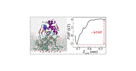 Hydration And Antibiofouling Behavior Of Zwitterionic Polycarboxybetaine Grafted Surfaces