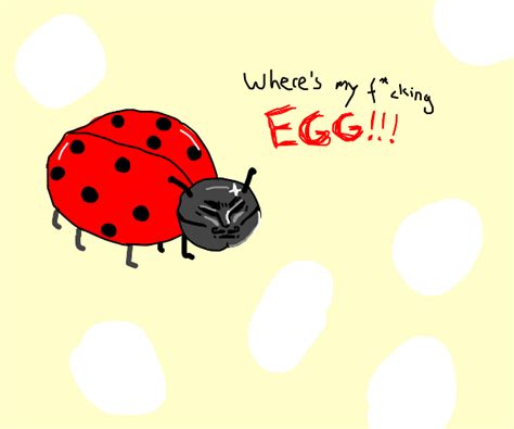 Ladybug Looking For An Egg Drawception