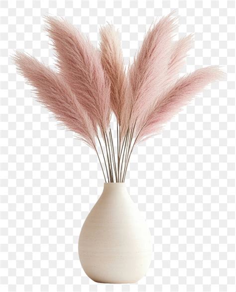 Png Pink Pampas Grass Vase Free Png Rawpixel