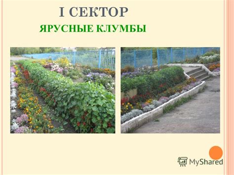 Презентация на тему: "Номинация: сельскохозяйственная экология Учебно ...