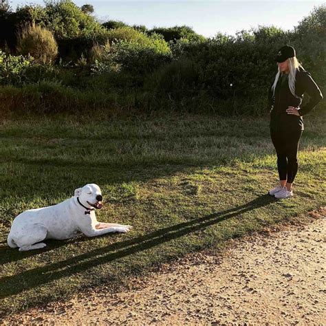 General 6 — Wagging School