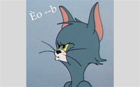 T Ng H P B Meme Tom And Jerry H I H C B A Ng Y U Cute T C Gi N