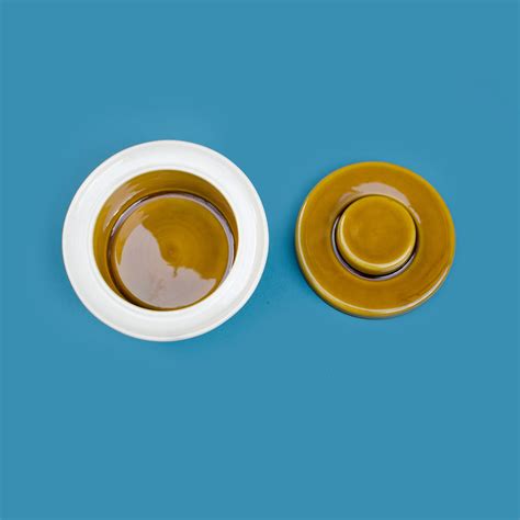 Traditional Sri Lanka Mayura Raksha Peacock Devil Mask — Luís Viajante