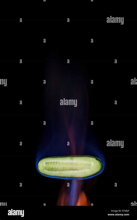 Cucumber On Fire With Blue Flames Isolated On Black Background Stock