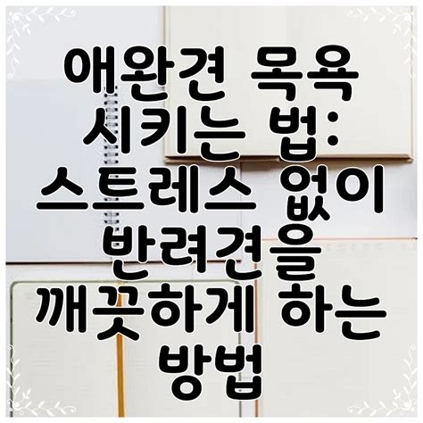애완견 목욕 시키는 법 스트레스 없이 반려견을 깨끗하게 하는 방법