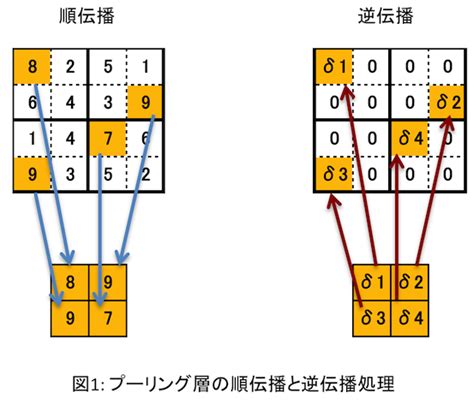 Deeplearning4 Cnnの逆伝播完成？ Haskell Qiita
