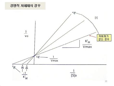 경쟁적 저해제 식품영양 위키 Fandom