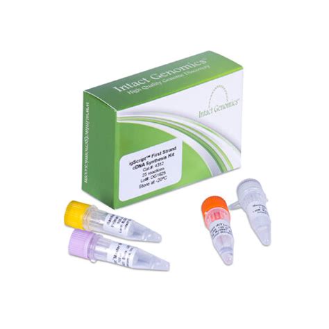 First Strand CDNA Synthesis Kit IgScript Intact Genomics