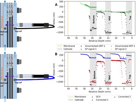 Duplicate Profile Of Oxidationreduction Potential Orp Over The