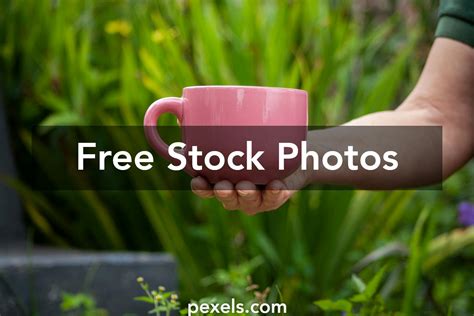 Environmental Articles Photos Download The Best Free Environmental