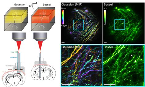 Research Guanghan Mengs Website