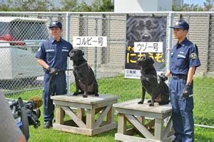Okinawa Regional Customs