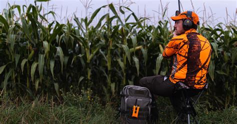 Conseils Chasse Battue Posté