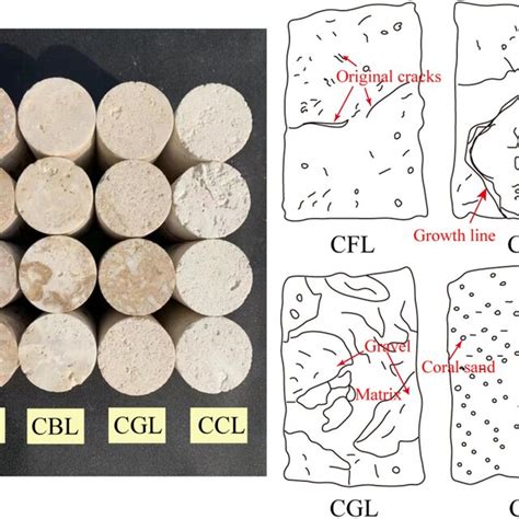 The Porosity And P Wave Velocity Distribution Of Four Types Of Crls