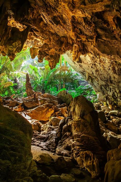 Landscape Of Cave And Tree Hup Pa Tat Uthai Thani Thailand Stock Image Image Of Tree Park
