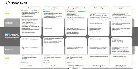 Sap Implementation Project What Could Go Horribly Wrong