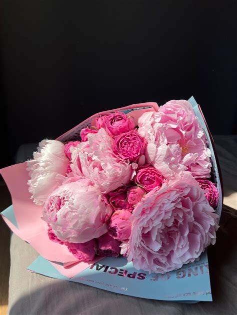 Пионы 🫰🏼 Пионы Картинки Листья