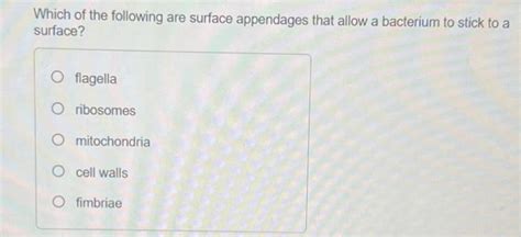 Solved Which Of The Following Are Surface Appendages That